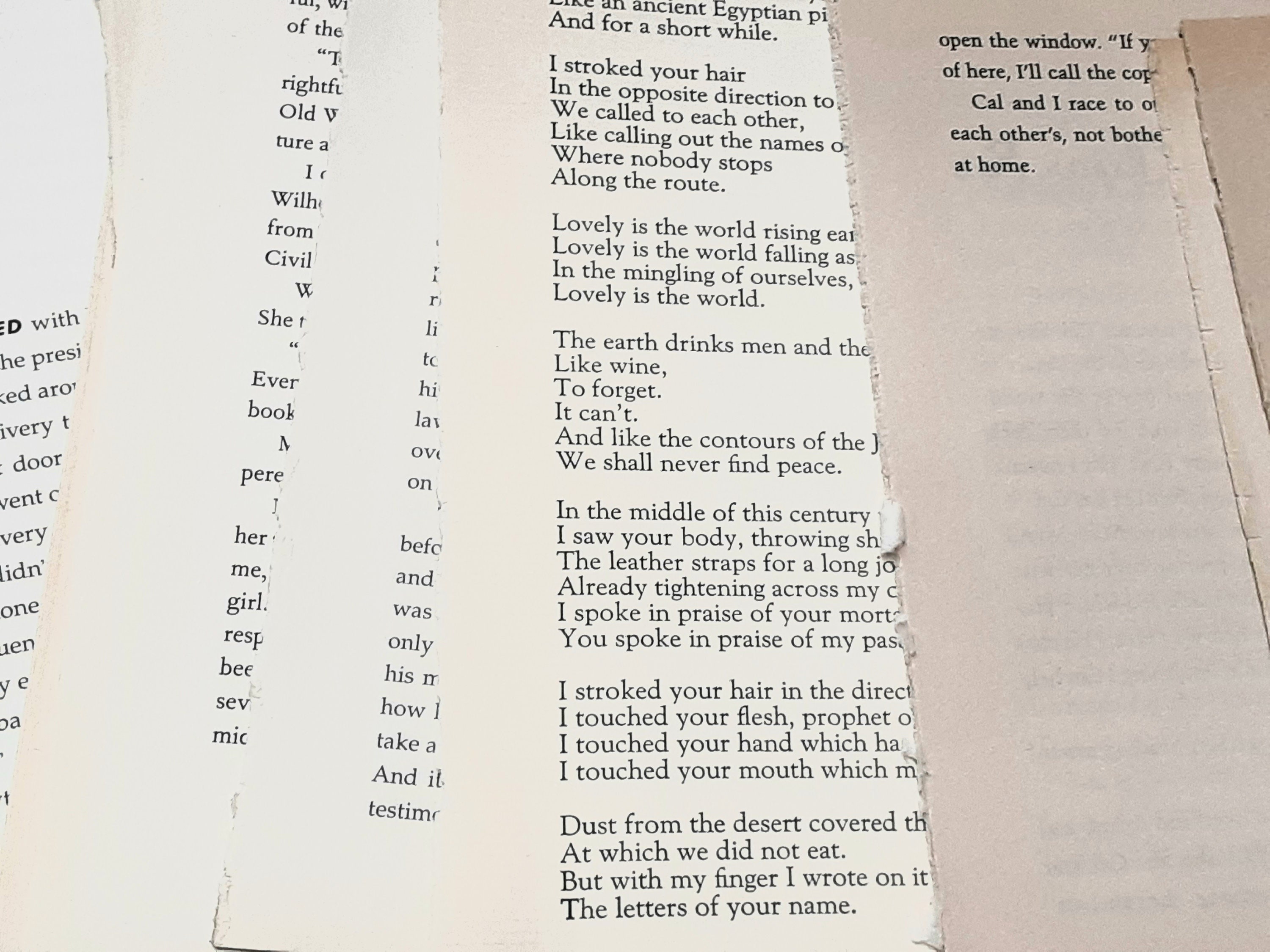 Blackout Poetry Kit / Text Bundle - Etsy