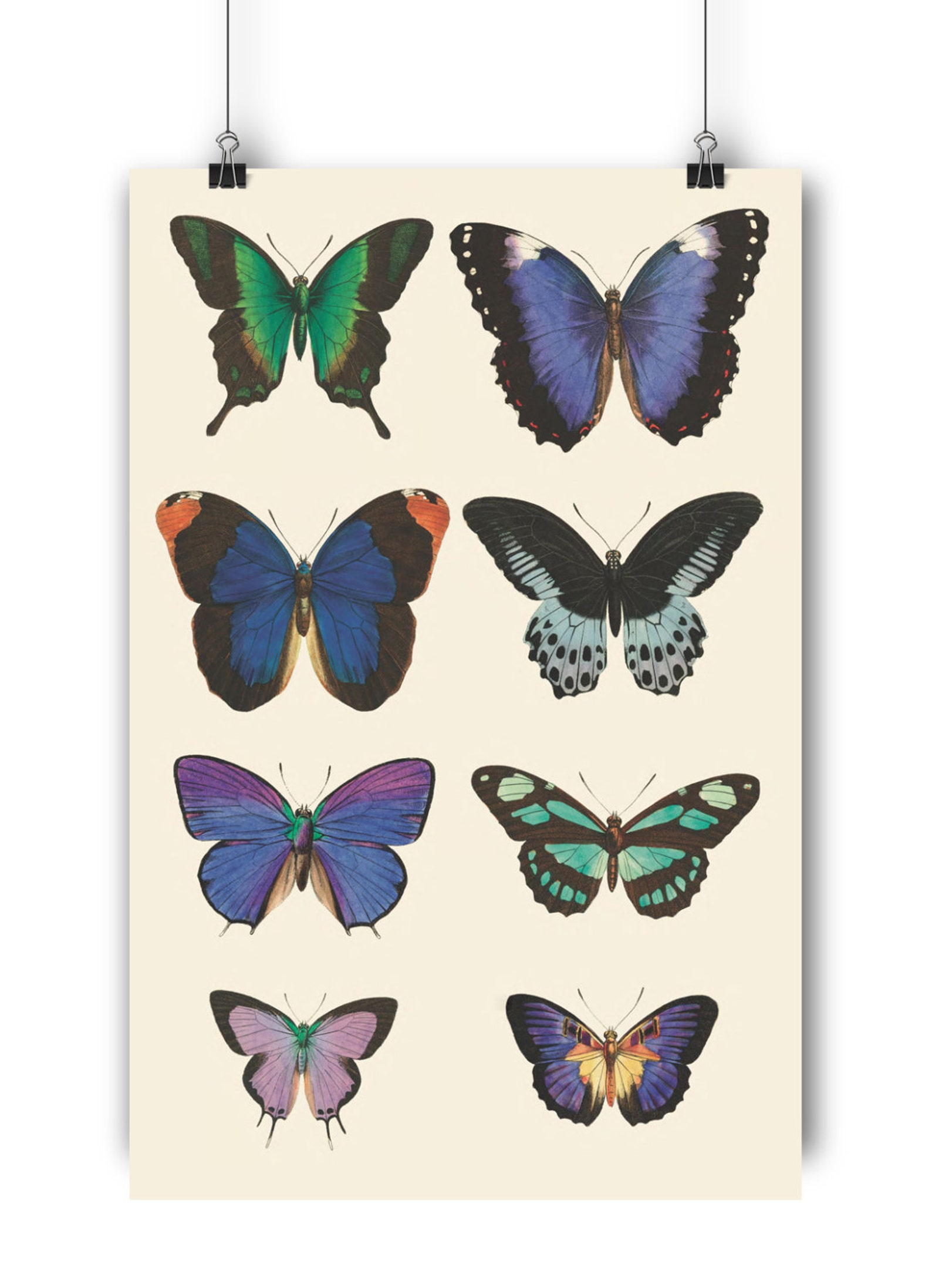 Butterfly Print - Etsy