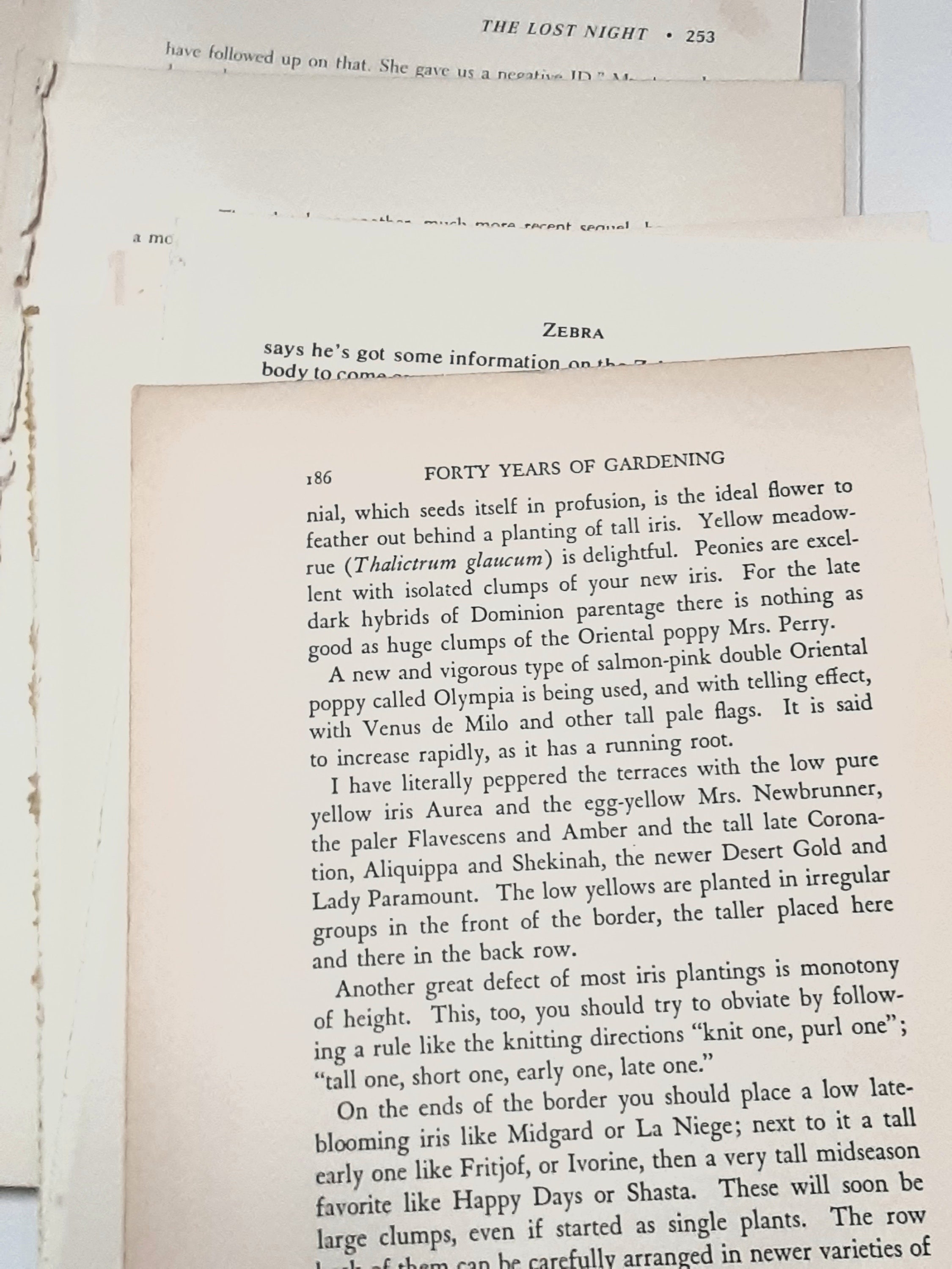 Blackout Poetry Kit / Text Bundle - Etsy