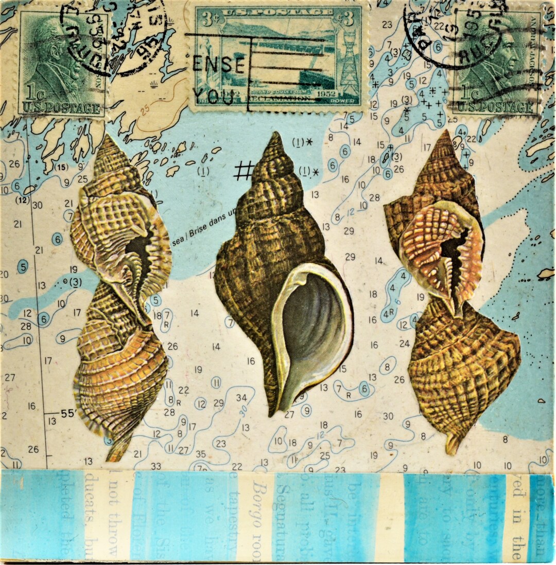 Sea Shells Collage No. 1 - Etsy