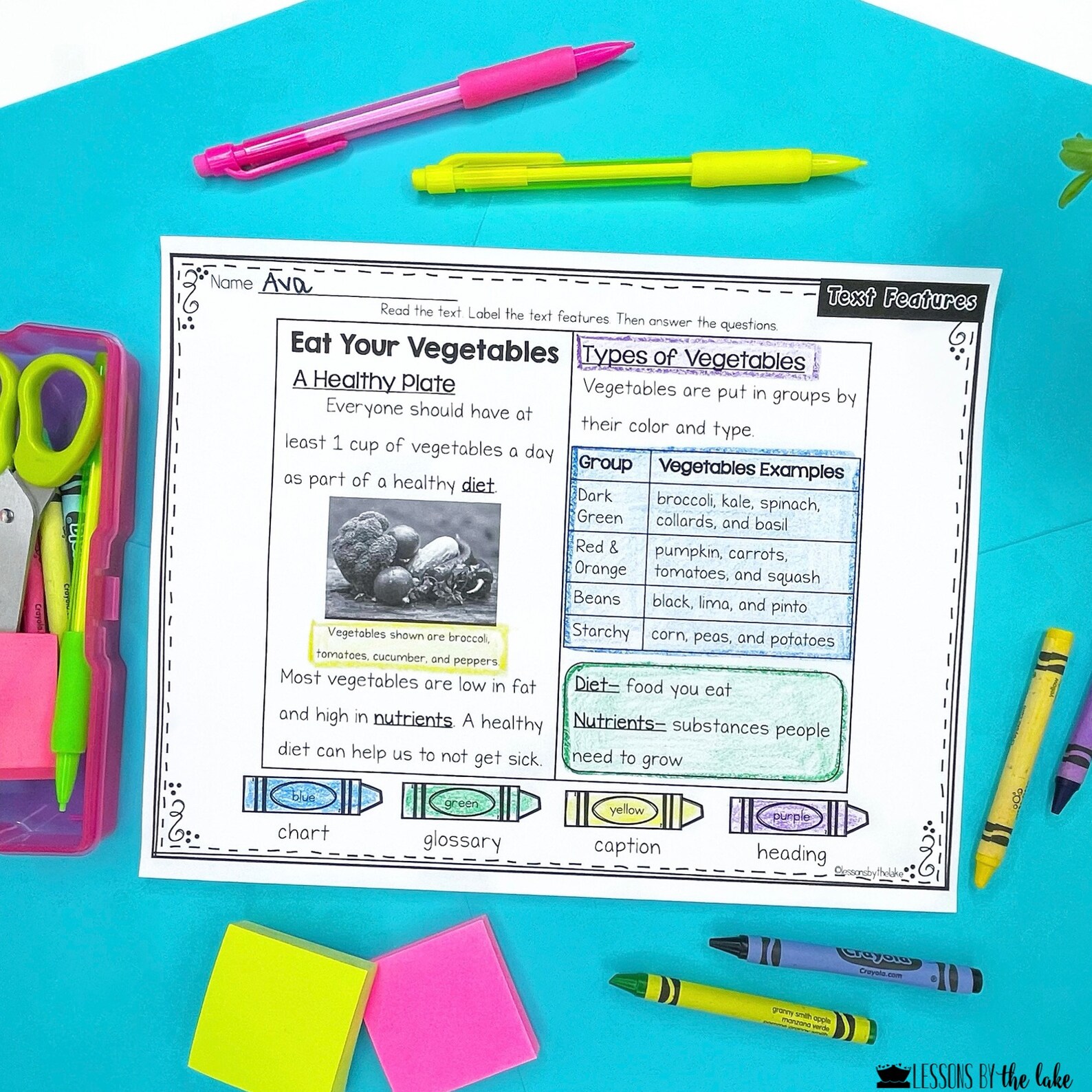 Text Features Reading Passages Nonfiction Worksheets & Digital Slides ...