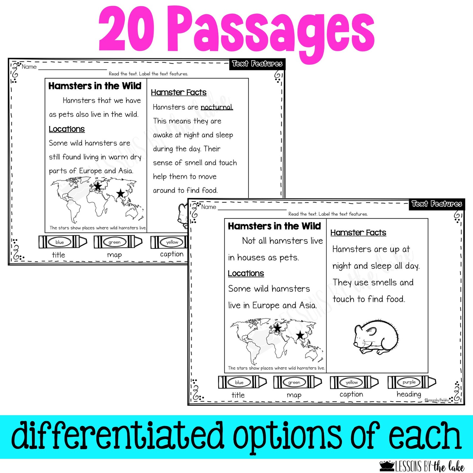 Text Features Reading Passages Nonfiction Worksheets & Digital Slides ...