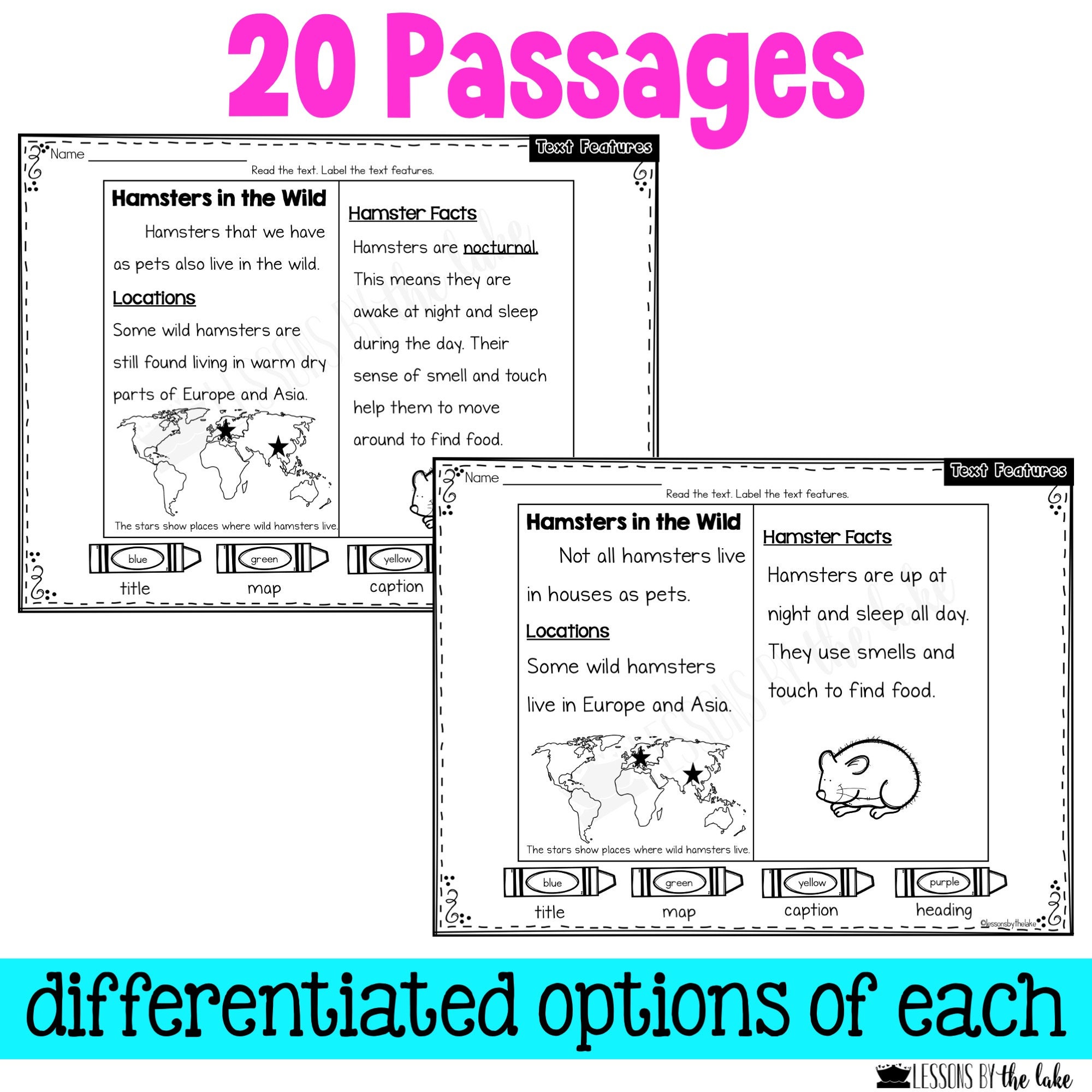 Text Features Reading Passages Nonfiction Worksheets & Digital Slides ...