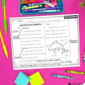 Text Features Reading Passages Nonfiction Worksheets & Digital Slides ...