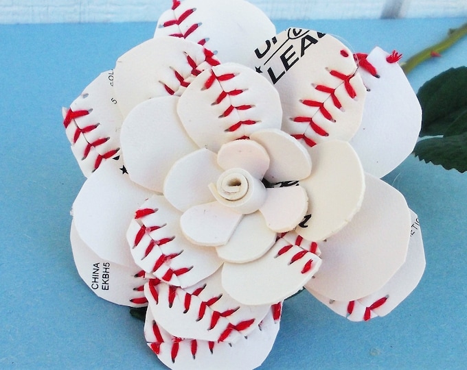 Baseball Rose (sweetheart Full Bloom) - Etsy