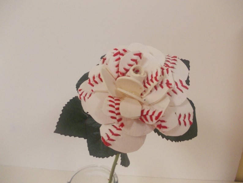 Baseball Rose in Full Bloom - Etsy