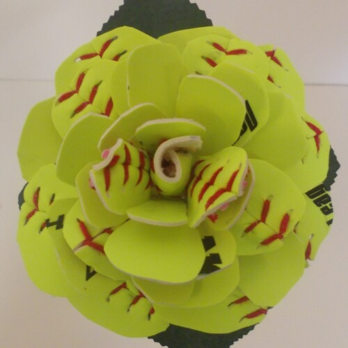 Softball rose in Full Bloom - Etsy