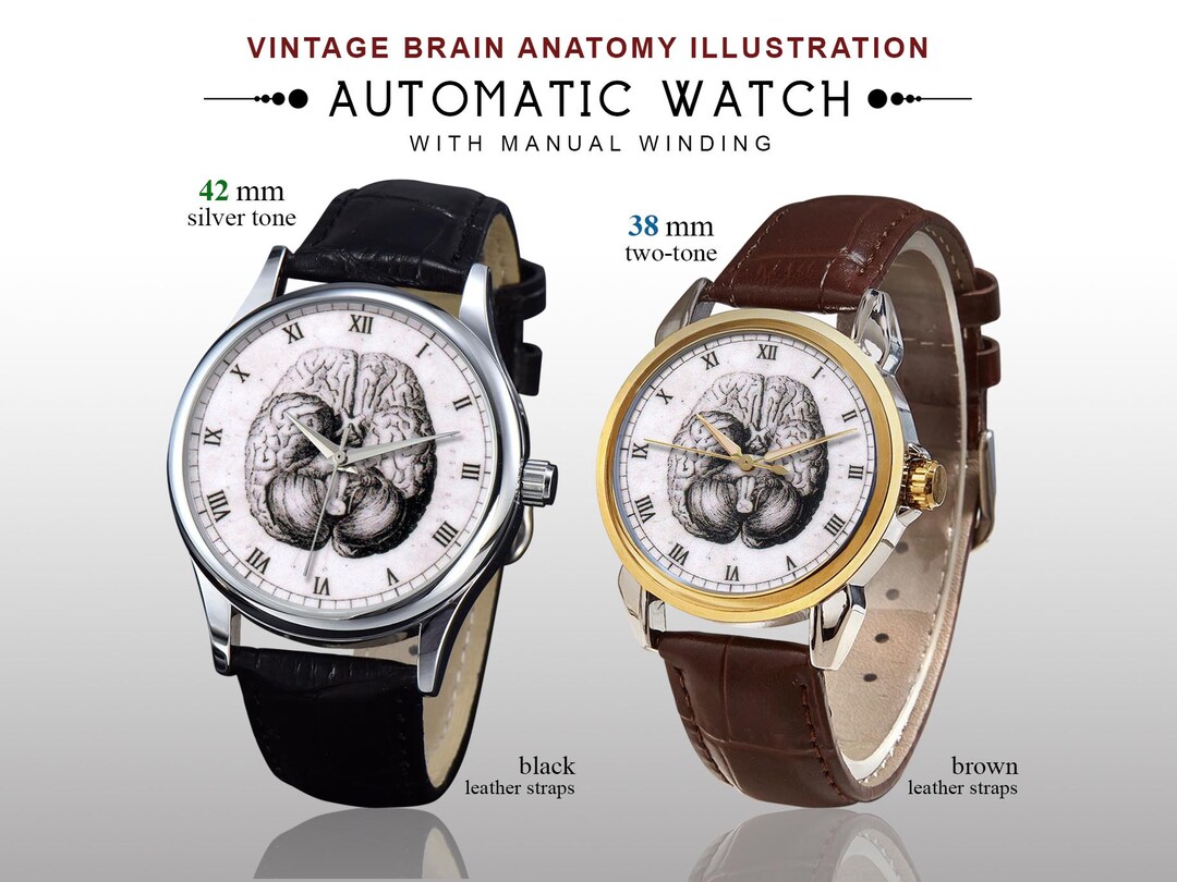 Vintage Brain Anatomy Automatic Watch | Unique Medical Science ...