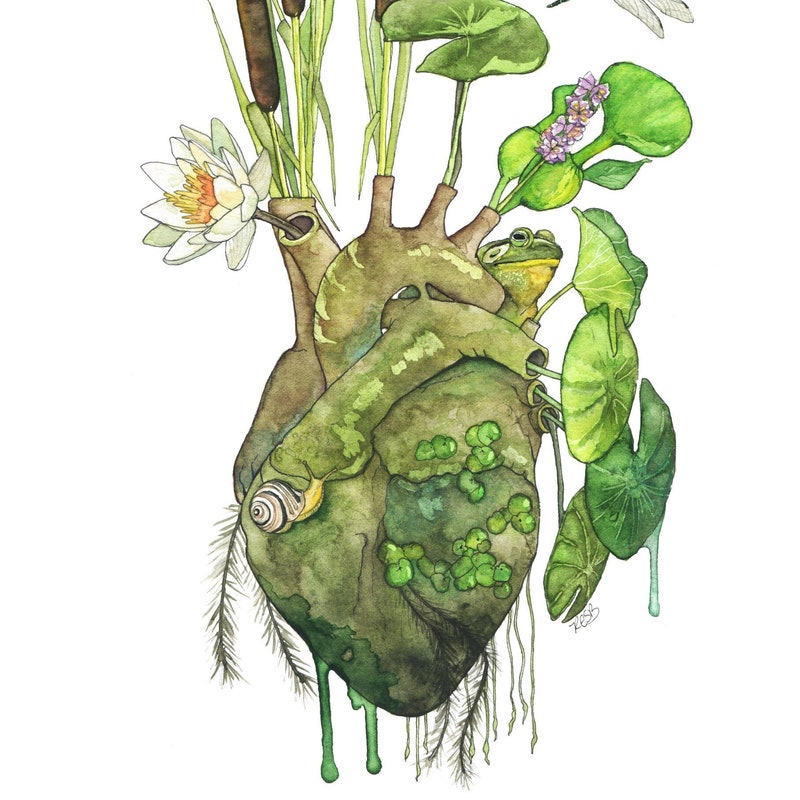 Heart of the Marsh - Etsy