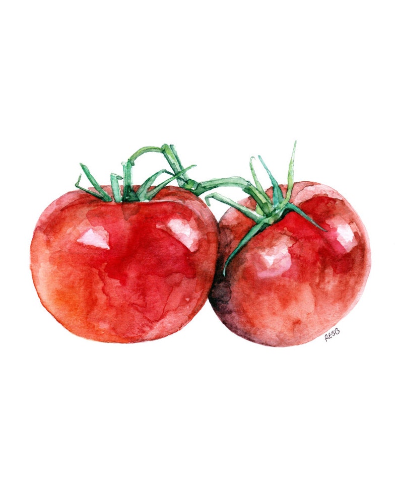 Tomato Painting Print From Original Watercolor Painting - Etsy
