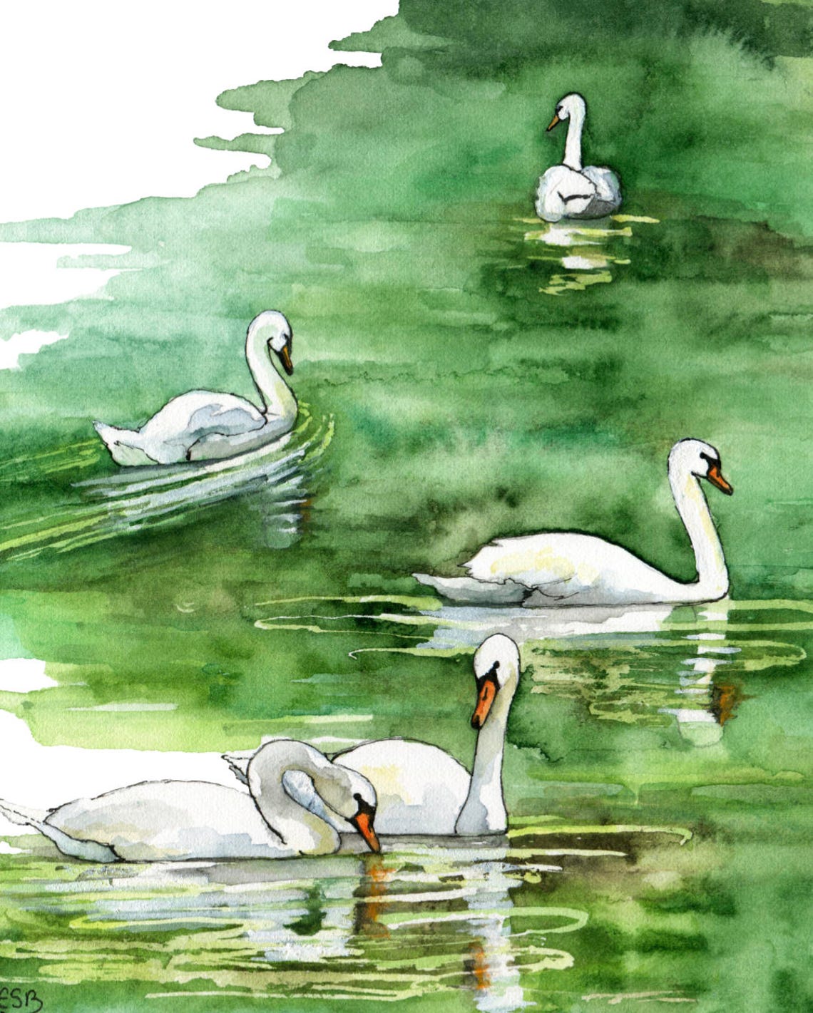 Watercolor Painting, Swan Painting, Swan Print, Watercolor Print ...