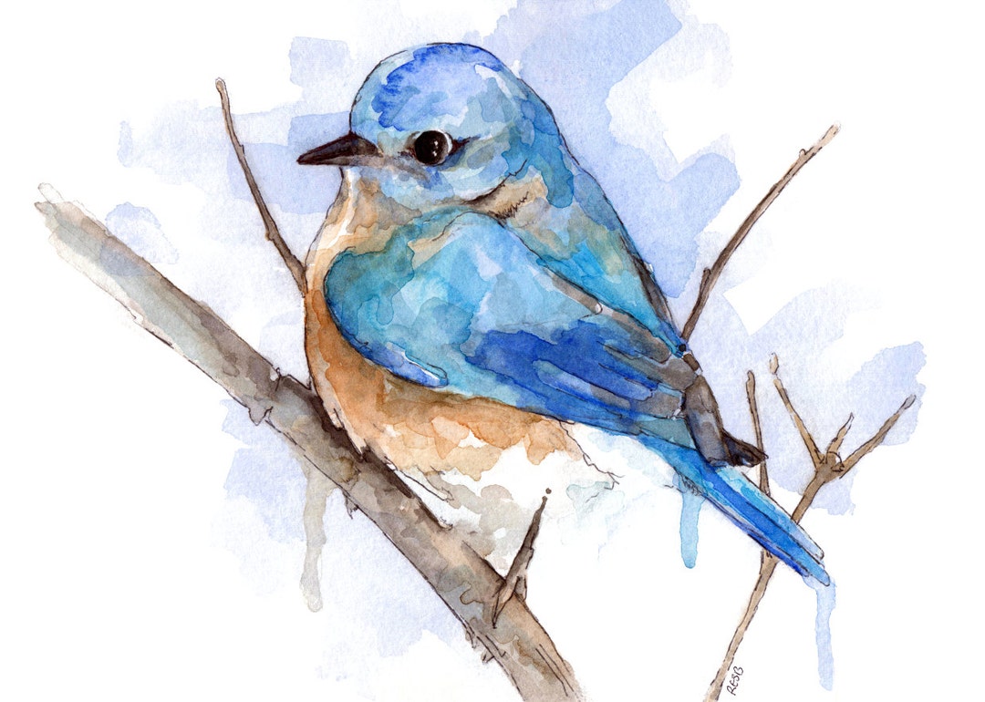 Bluebird Painting - Print From Original Watercolor Painting, "bluebird ...
