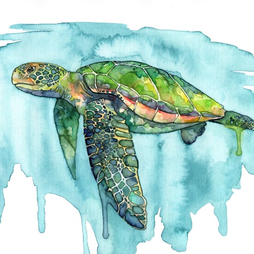 Sea Turtle Art Print Hawaiian Honu Hawaii Wall Decor Kauai - Etsy