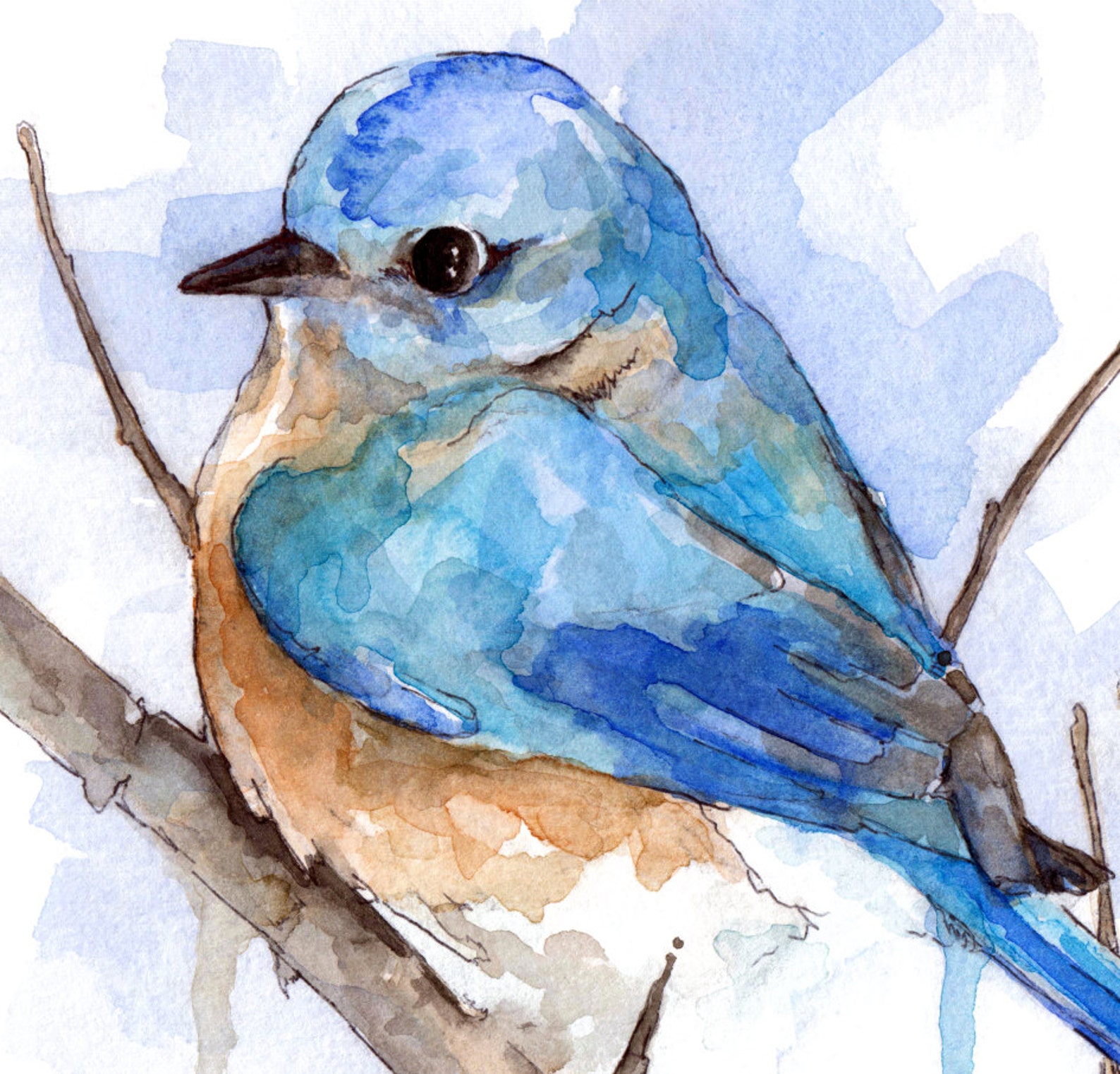 Bluebird Painting - Print From Original Watercolor Painting, "bluebird ...