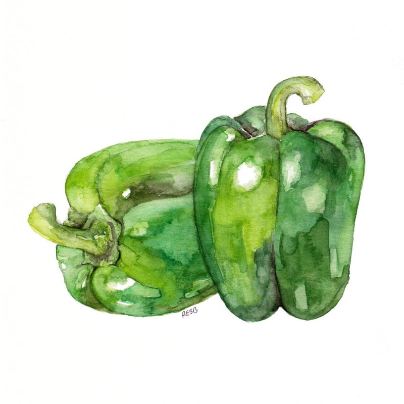 Pepper Painting - Etsy