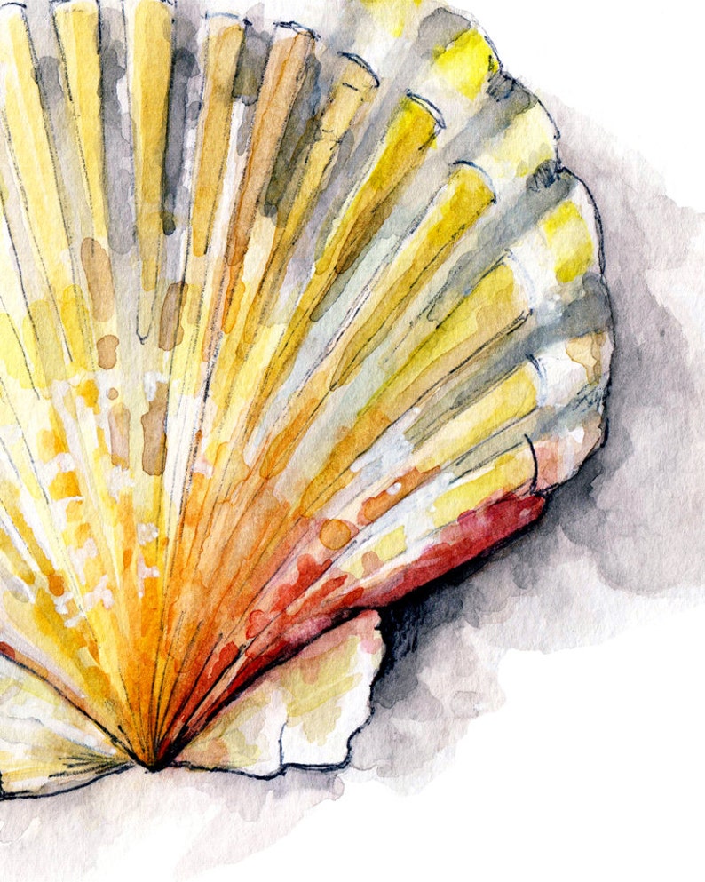 Seashell Painting 2 - Print From Original Watercolor Painting, "sea ...