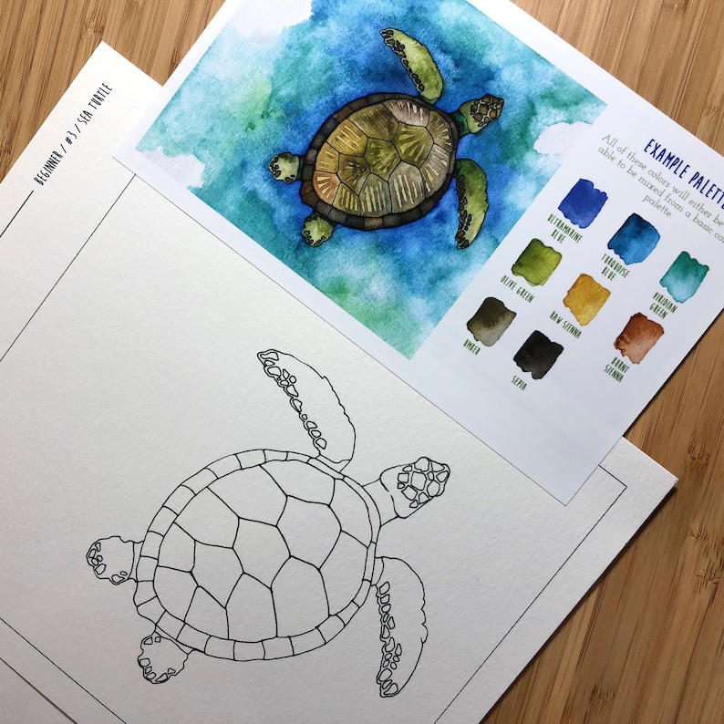 Learn to Paint Watercolor Kit Beginner Practice Set for Paint - Etsy Israel