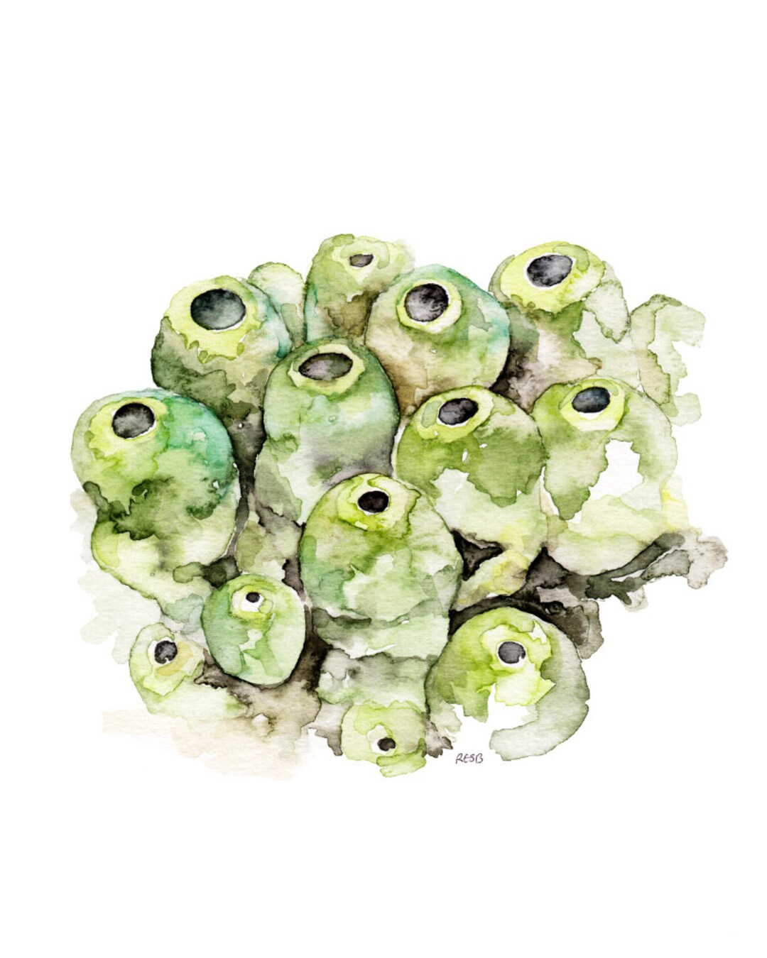 Sea Sponge Painting - Print From Original Watercolor Painting, "green ...
