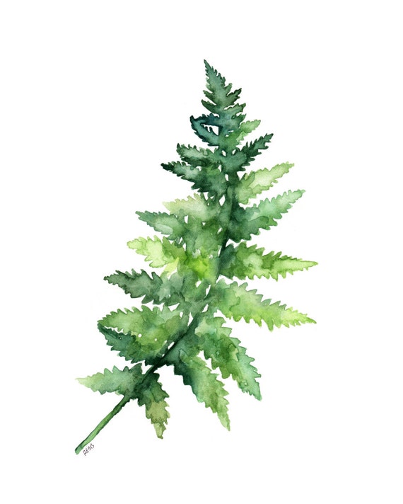 Fern Watercolor Art 33 Fern Painting Ideas In 2025 | Painting, Ferns,
