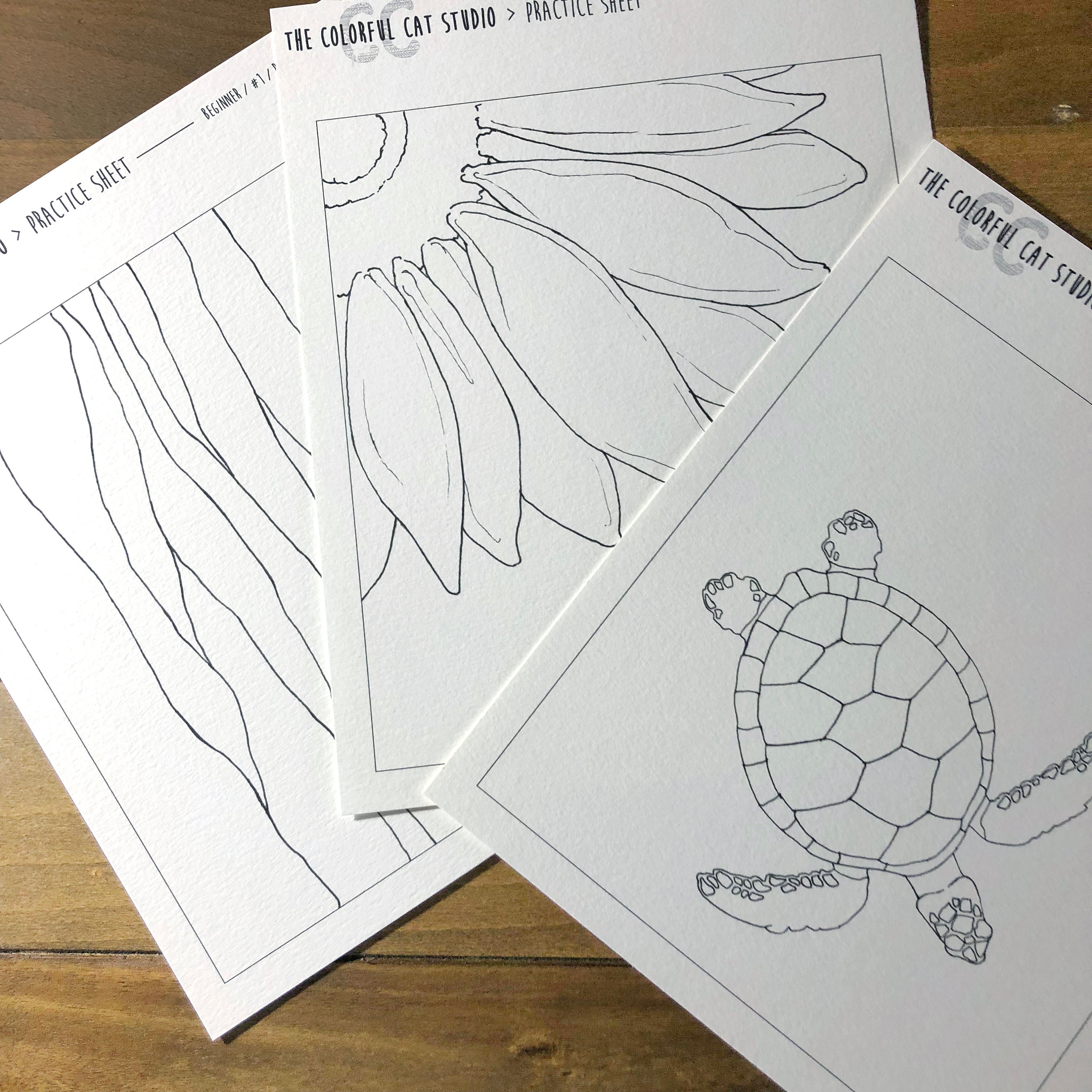 Learn to Paint Watercolor Kit Beginner Practice Set for Paint - Etsy Israel