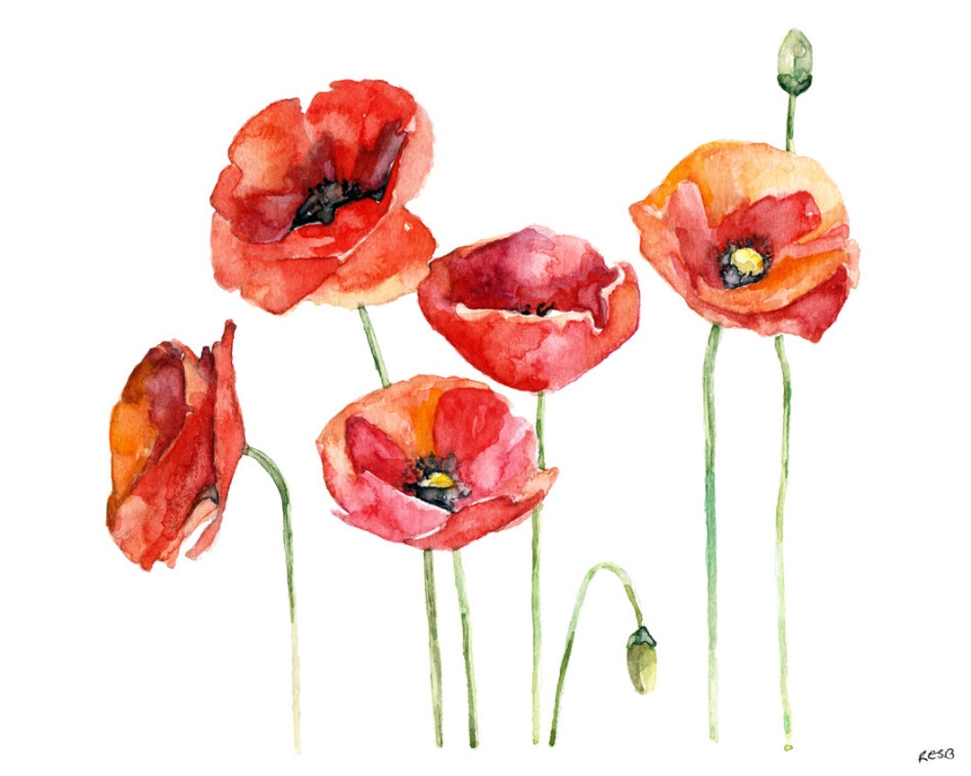 Poppy Painting - Print From Original Watercolor Painting, "poppy Field ...