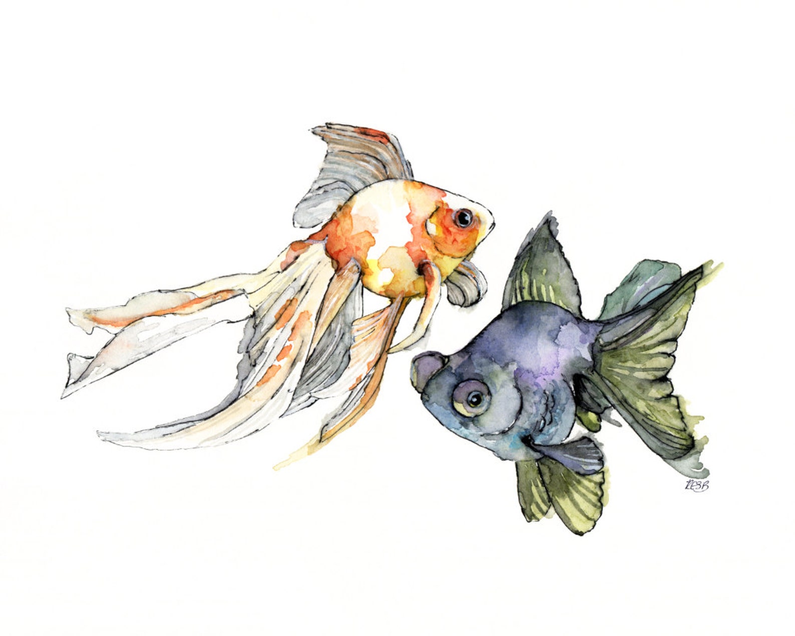 Watercolor Fish Print - Painting Titled, "japanese Goldfish", Asian ...