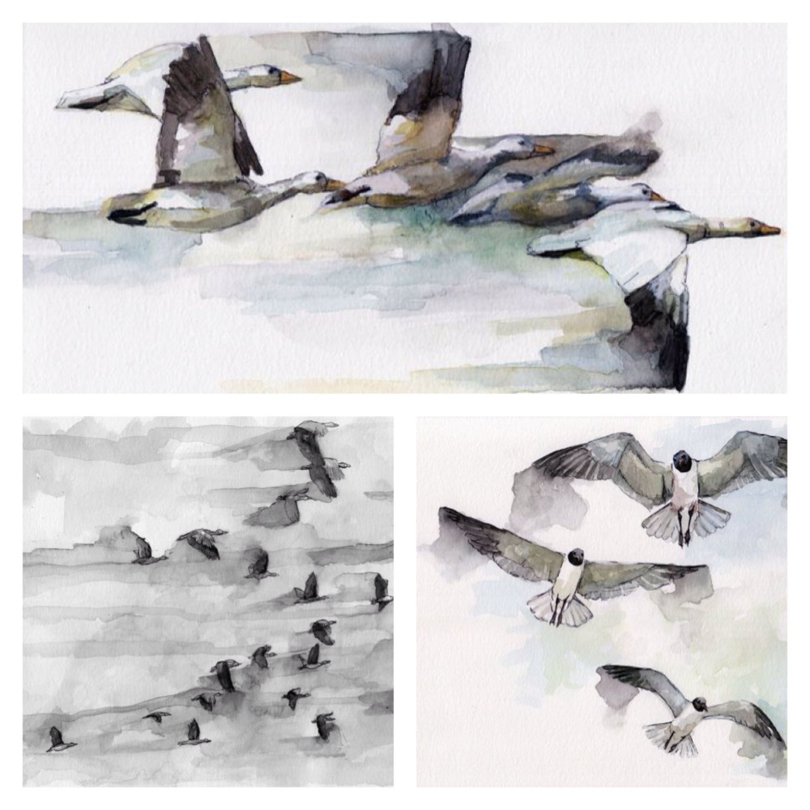 Bird Print Set of 3 - 8x10 Watercolor Paintings, Bird Watercolors ...