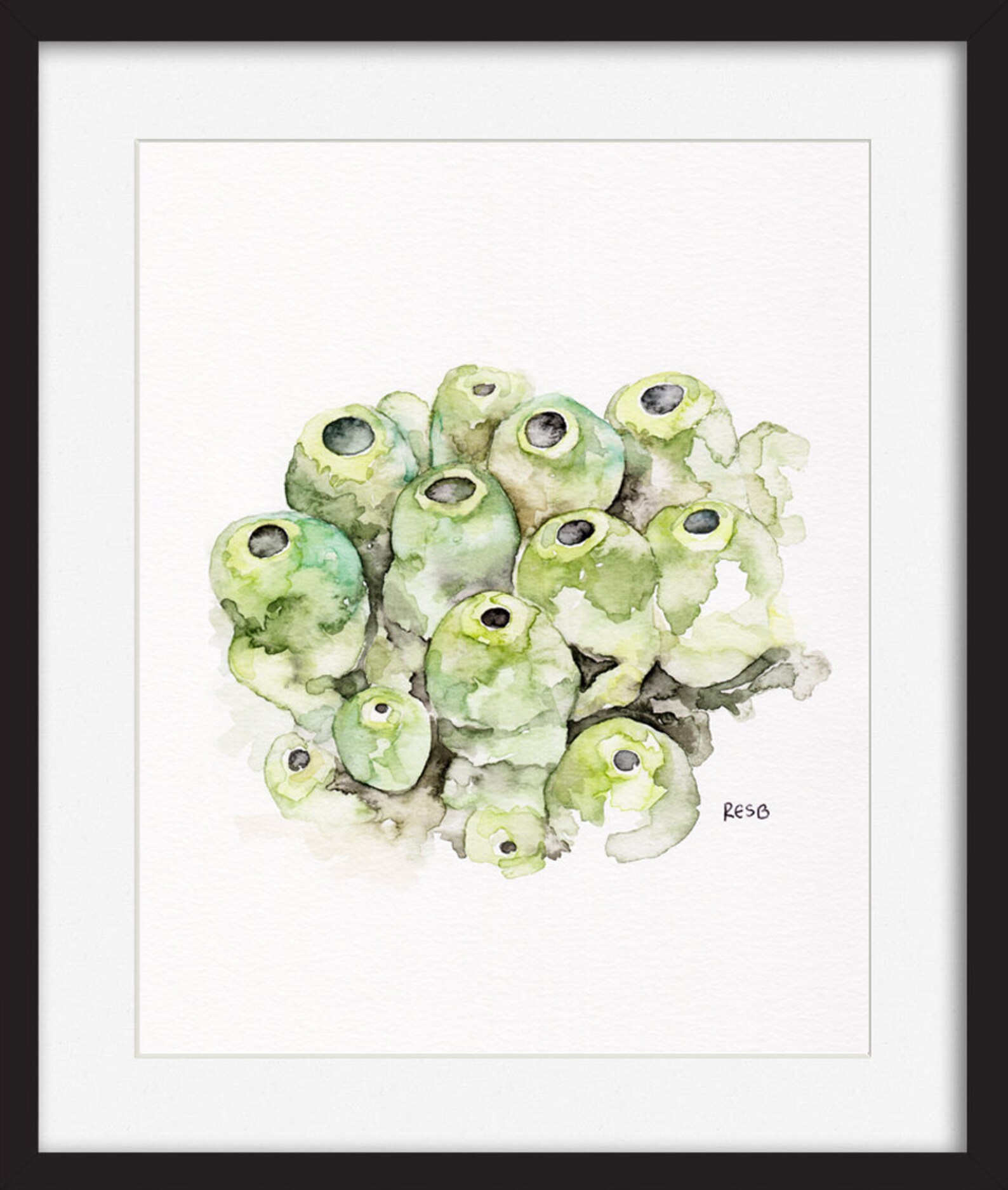 Sea Sponge Painting Print From Original Watercolor Painting - Etsy
