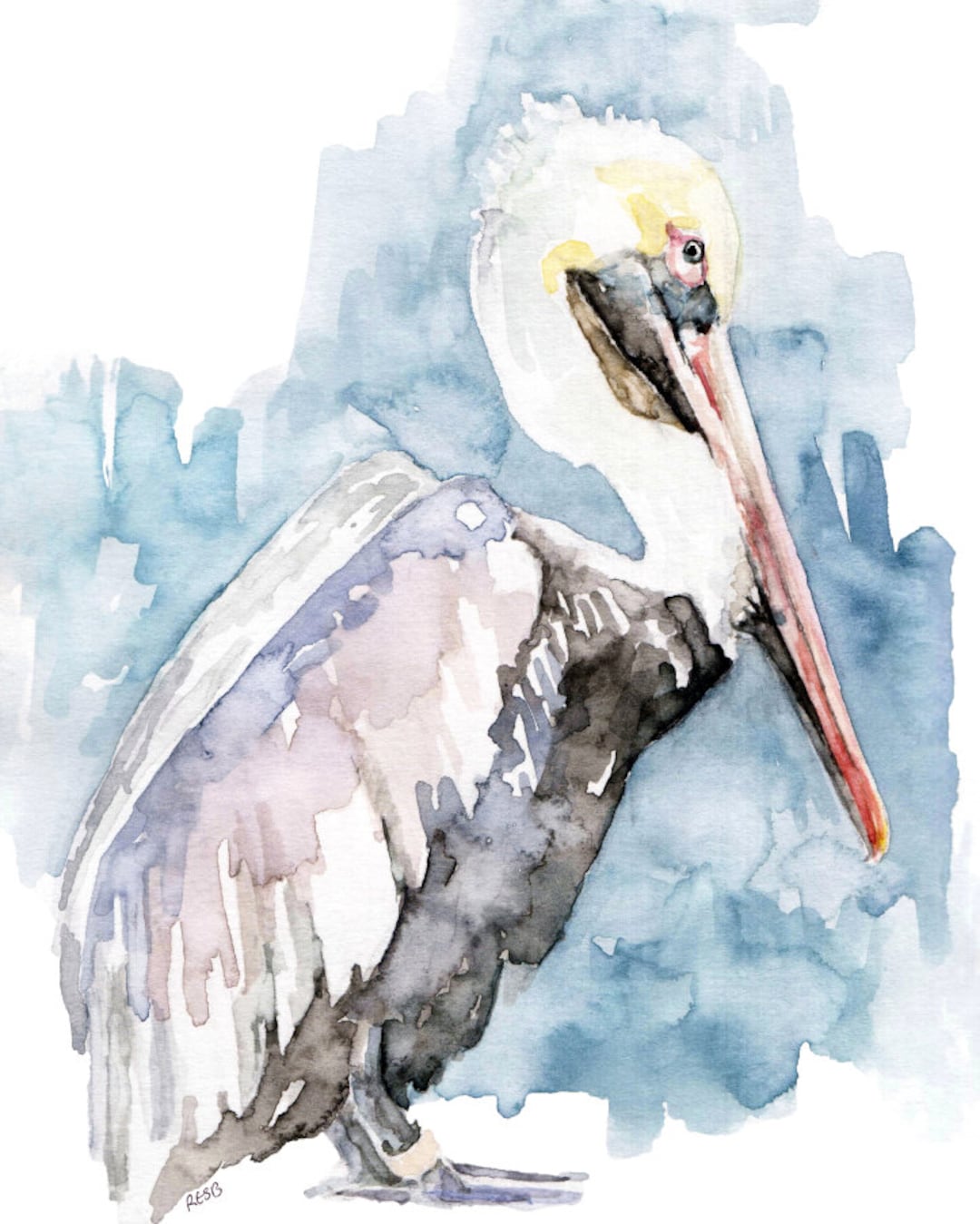 Watercolor Painting, Pelican Painting, Pelican Print, Pelican Art ...