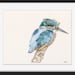 Kingfisher Painting - A Print From My Original Watercolor Painting ...