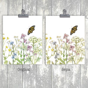 Queen Anne's Lace Wildflower Print - Watercolor Wildflowers, Botanical Painting, Botanical Print ...