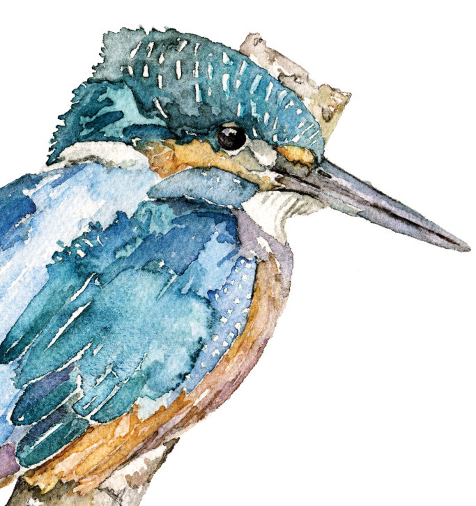 Kingfisher Painting - A Print From My Original Watercolor Painting ...