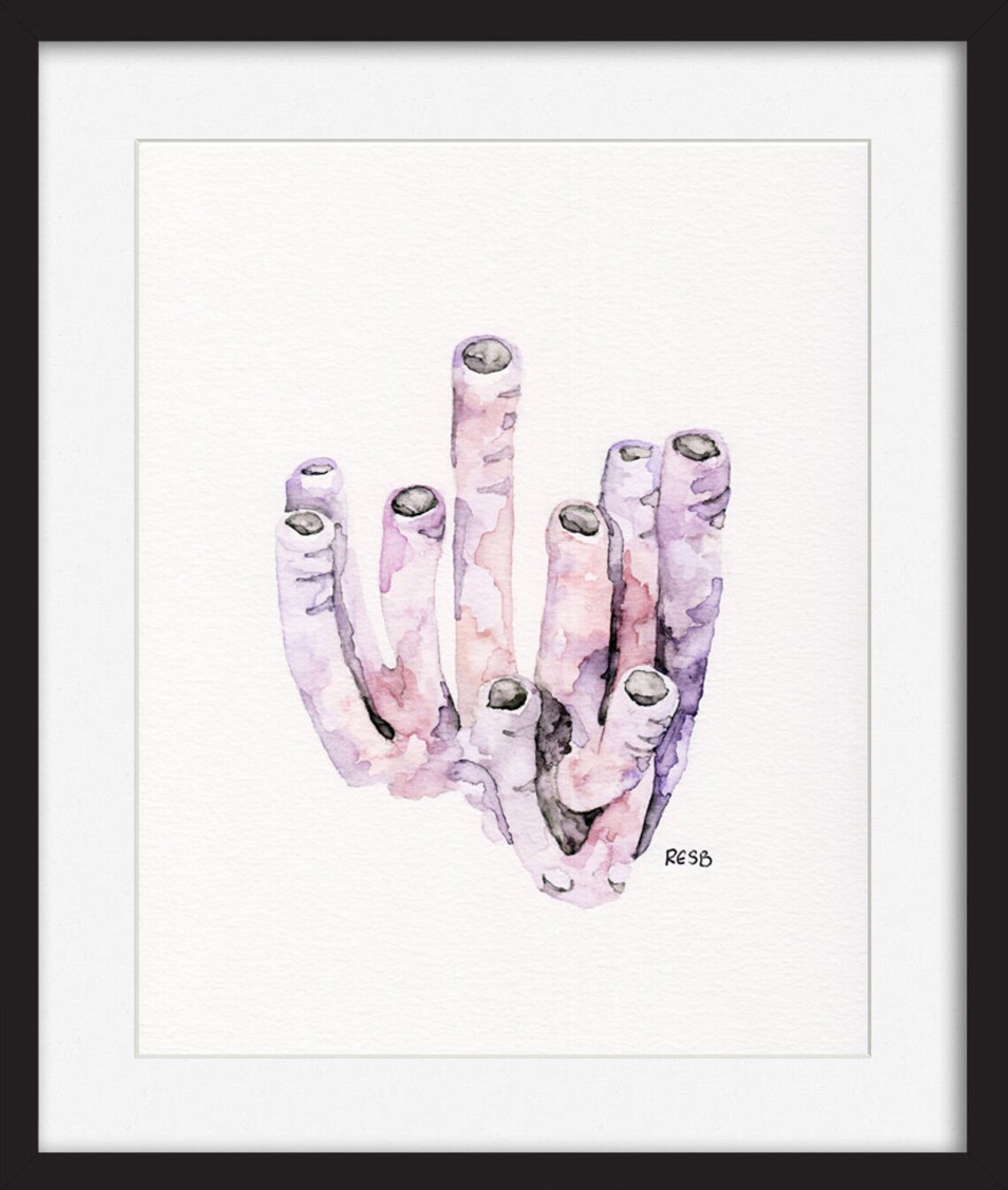 Sea Sponge 2 Painting - Print From Original Watercolor Painting ...