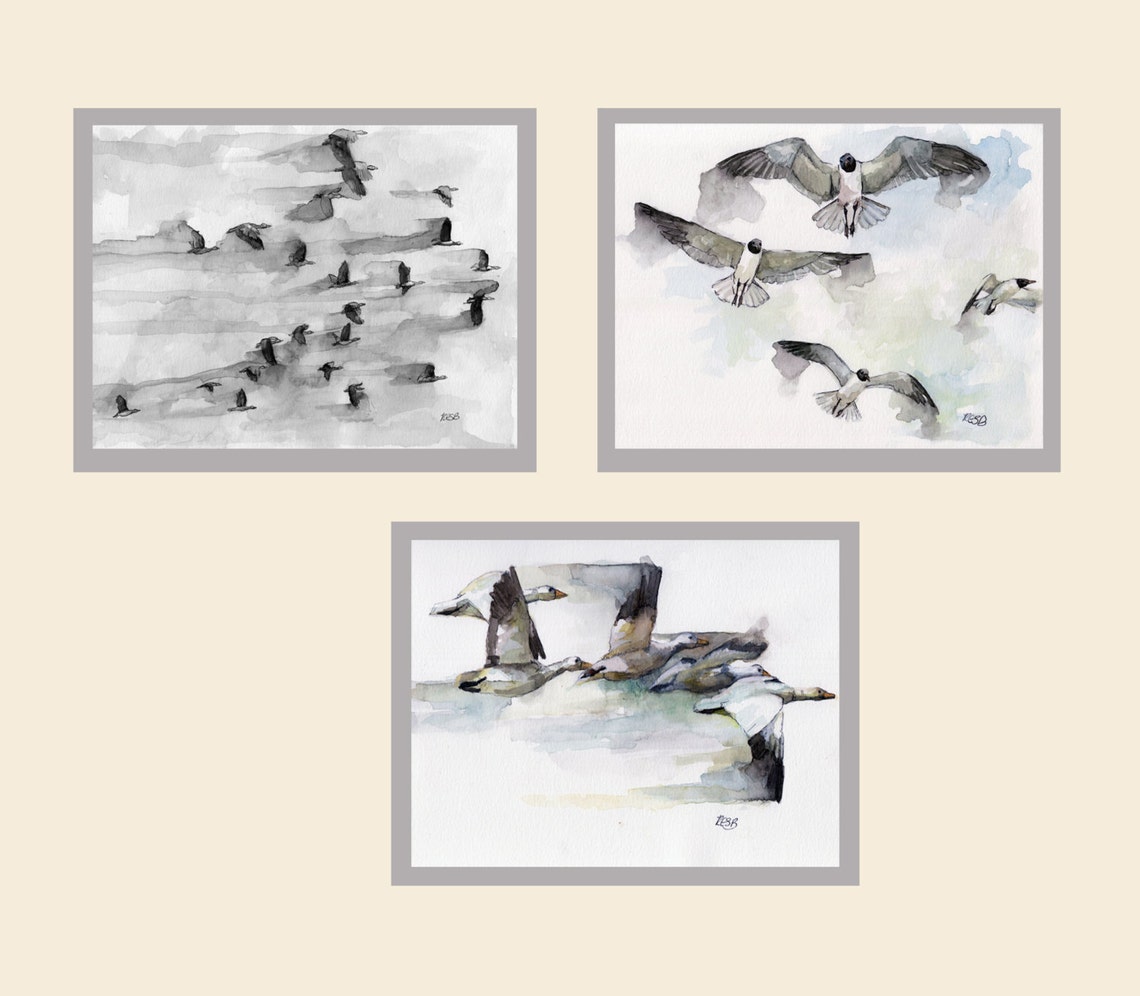 Bird Print Set of 3 - 8x10 Watercolor Paintings, Bird Watercolors ...