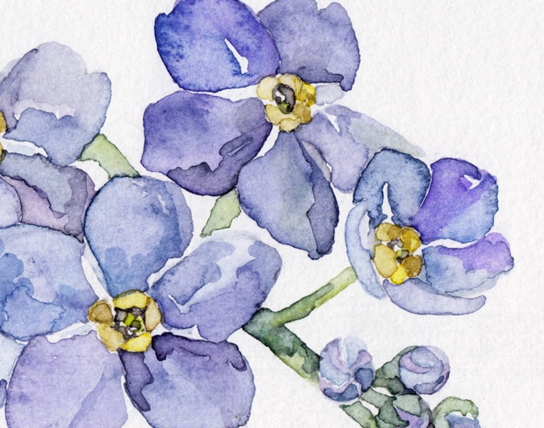 Forget Me Not Painting - Print From My Original Watercolor Painting ...