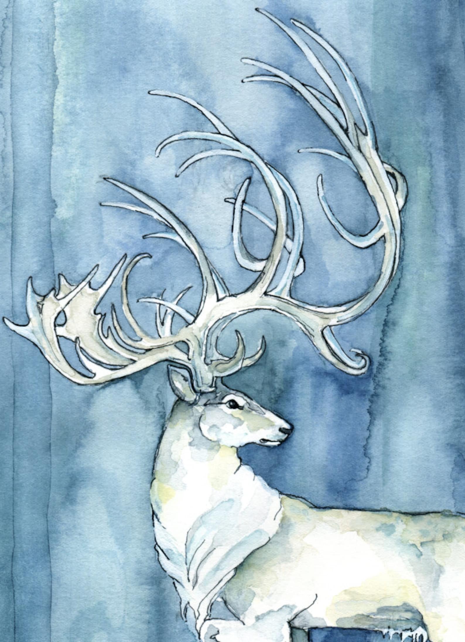 Watercolor Painting, White Stag Painting, Watercolor Print, Elk, Deer ...