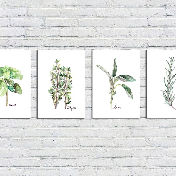 Herb Print - Etsy