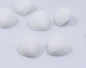 White Seashell Shank Buttons Shell Shaped Shanks Button Baby - Etsy