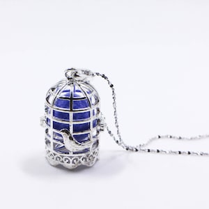 Bird Cage Essential Oil Diffuser Necklace, for Aromatherapy Oil Perfume ...