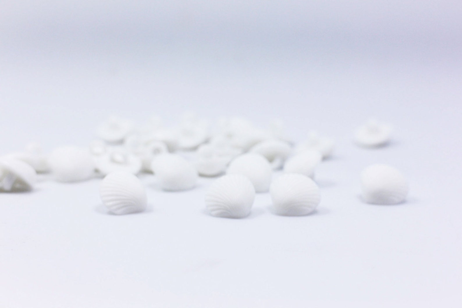 White Seashell Shank Buttons Shell Shaped Shanks Button Baby - Etsy