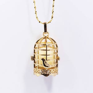 Bird Cage Essential Oil Diffuser Necklace, for Aromatherapy Oil Perfume ...