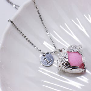 Angel Wing Heart Essential Oil Diffuser Necklace, Aromatherapy Locket ...
