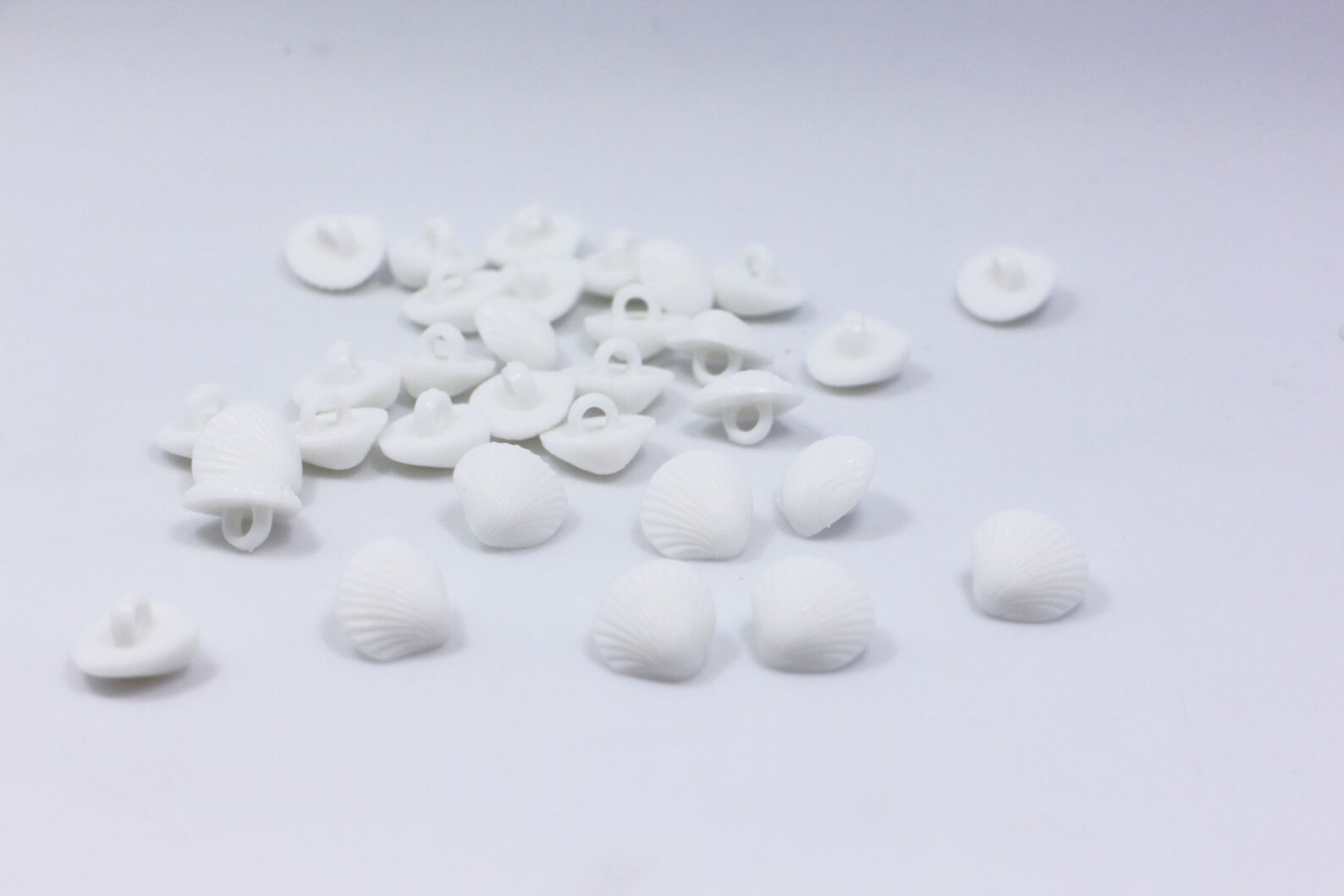 White Seashell Shank Buttons Shell Shaped Shanks Button Baby - Etsy