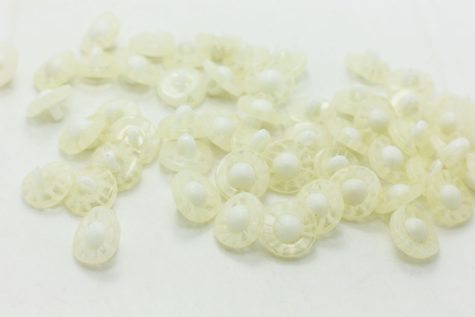 Cream White Clear Shank Buttons Transparent Button Retro - Etsy