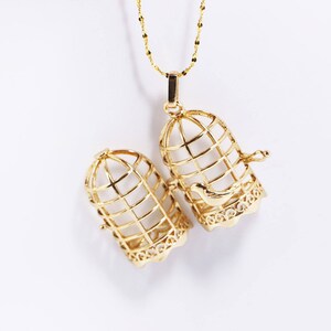 Bird Cage Essential Oil Diffuser Necklace, for Aromatherapy Oil Perfume ...