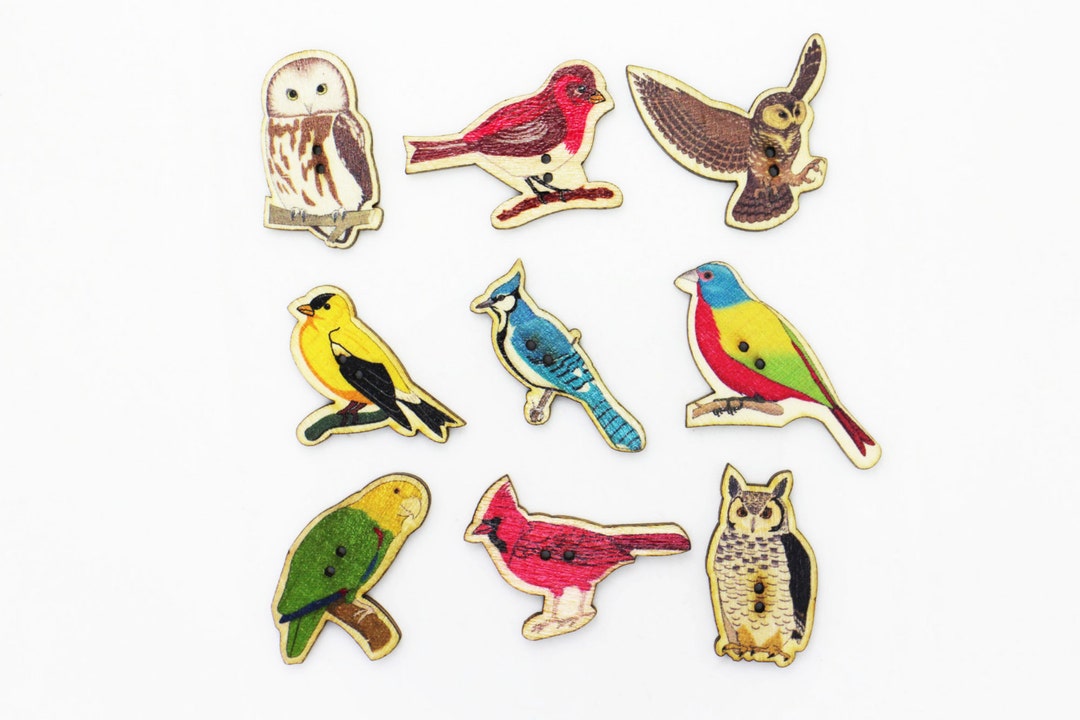 Bird Wooden Button, Assorted Birds Style, Owl Parrot, Large Size ...