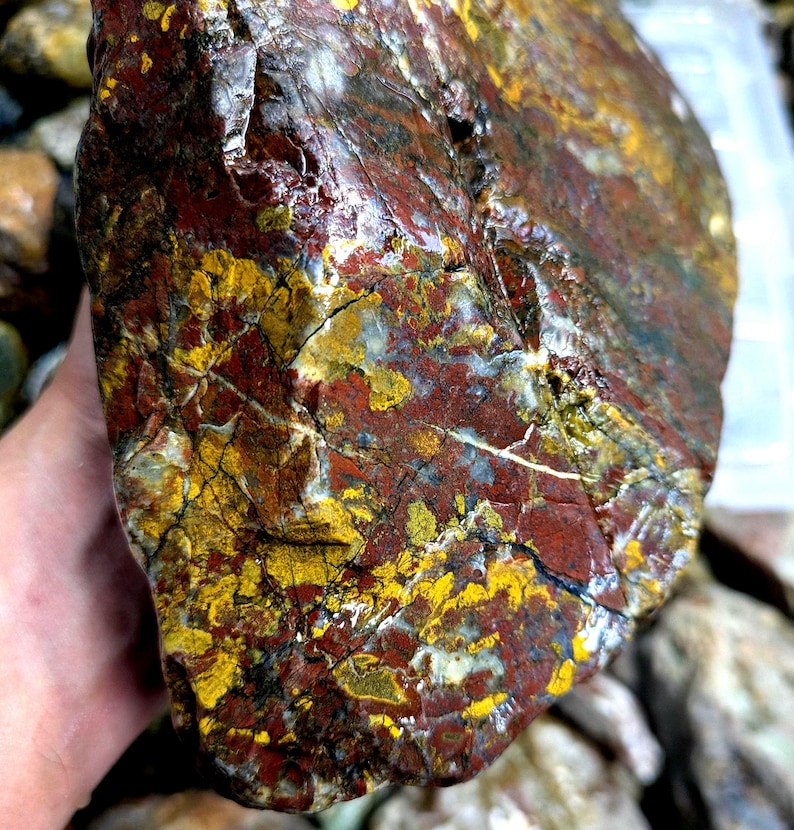 INCREDIBLE - Rare Multi-colored Brecciated Jasper W/blue Inclusions ...