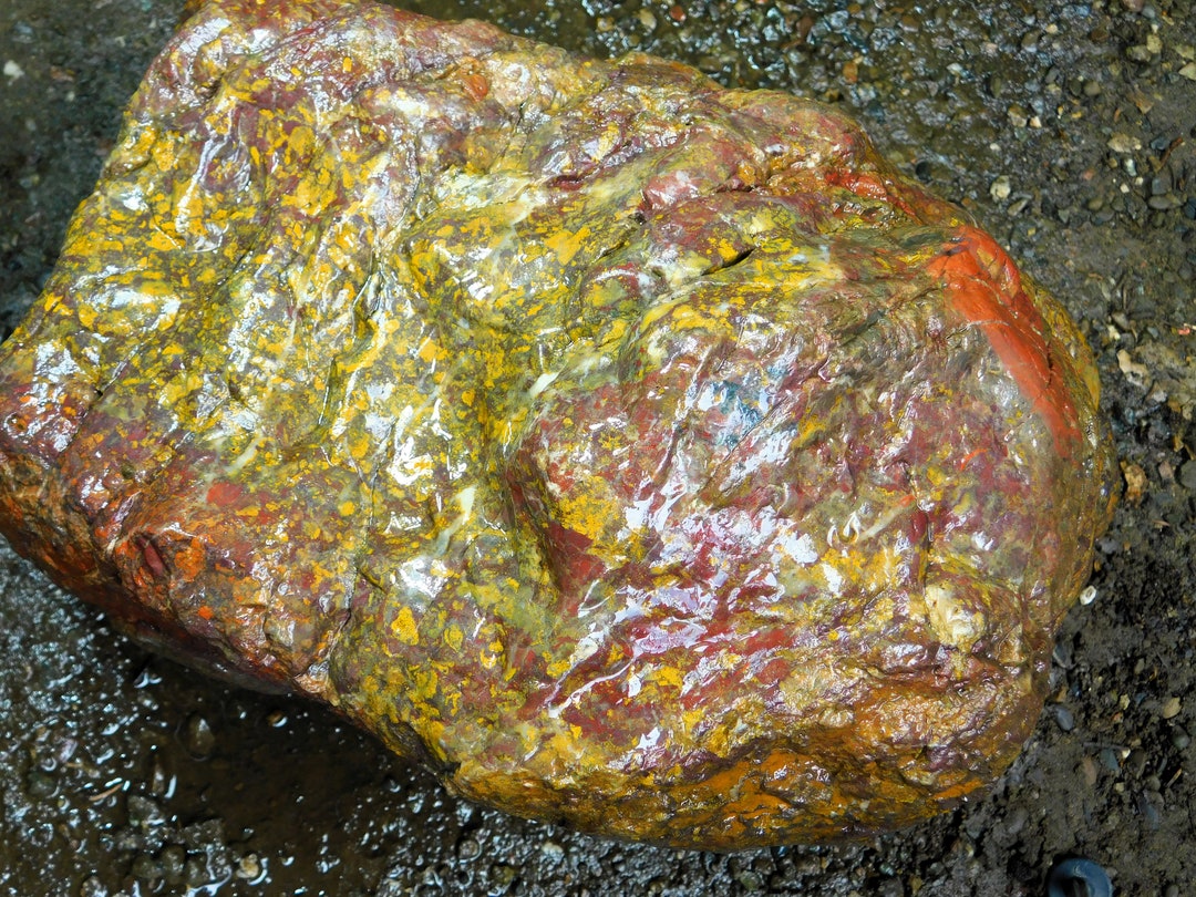 SUPER RARE 38lbs Brecciated Jasper GORGEOUS Yellow, Orange, Red ...