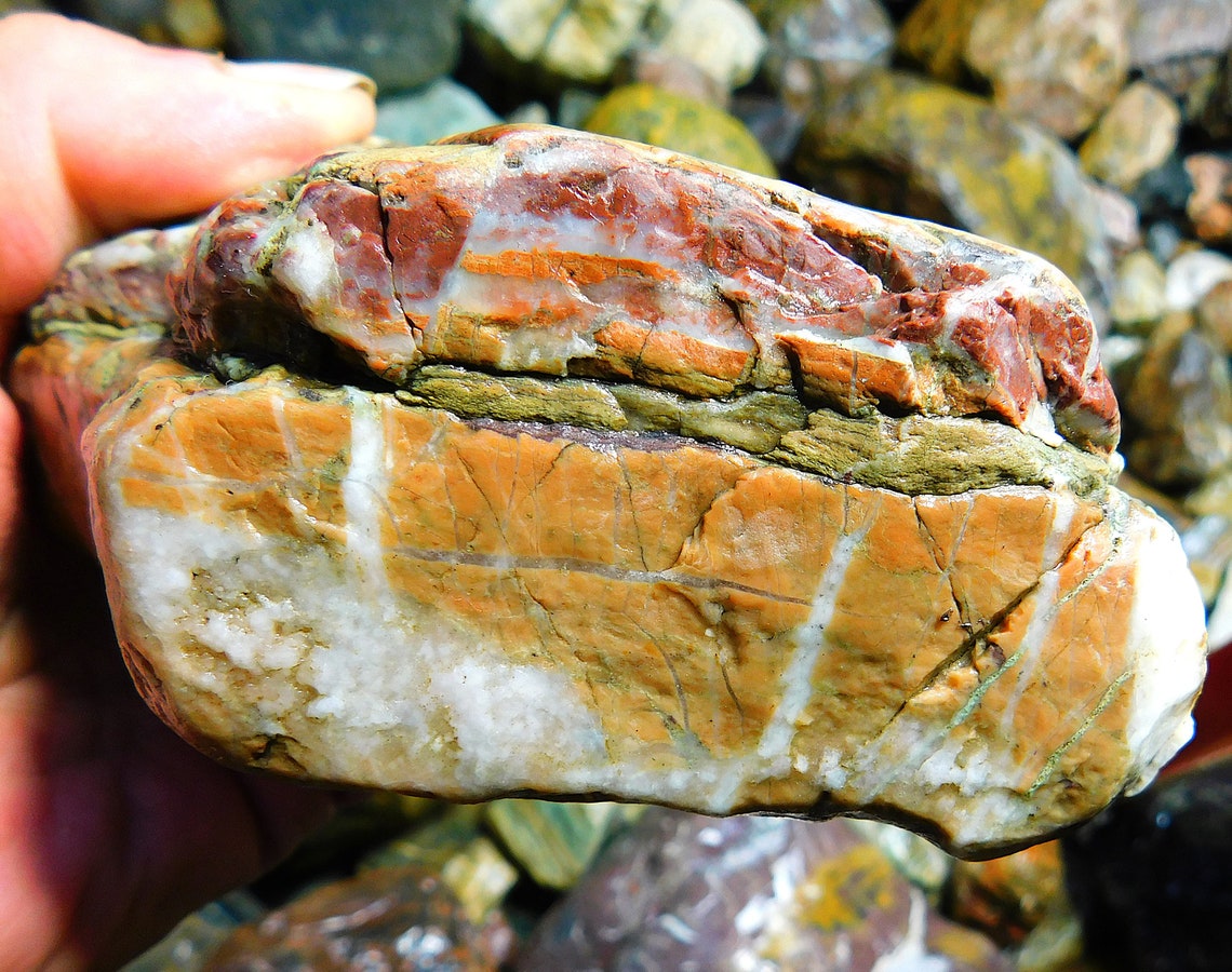Multi-colored Jasper SUPER PRETTY Jasperized Wood Rough River Rock - Etsy