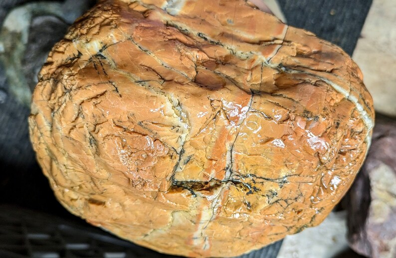 Yellow Feather Jasper W/quartz - Picasso Stone - Absolutely Gorgeous ...